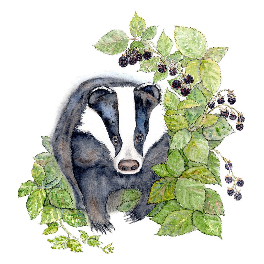 Badger – Hare and Pheasant Designs